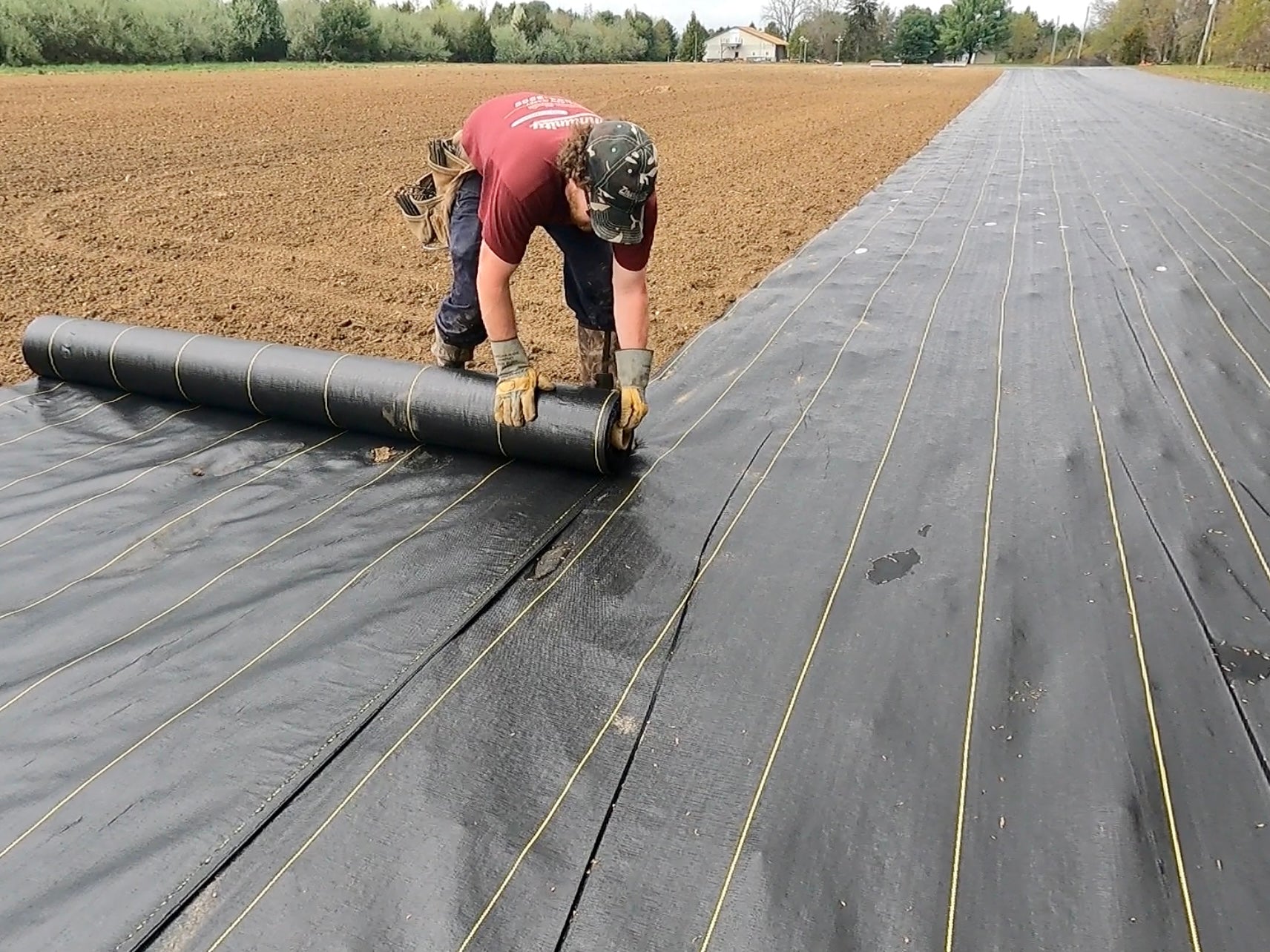 Laying Ground Cover – Copper Knoll Farms