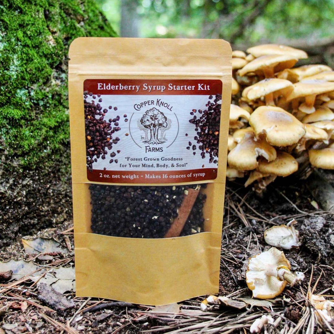 New Product: Elderberry Syrup Starter Kits – Copper Knoll Farms