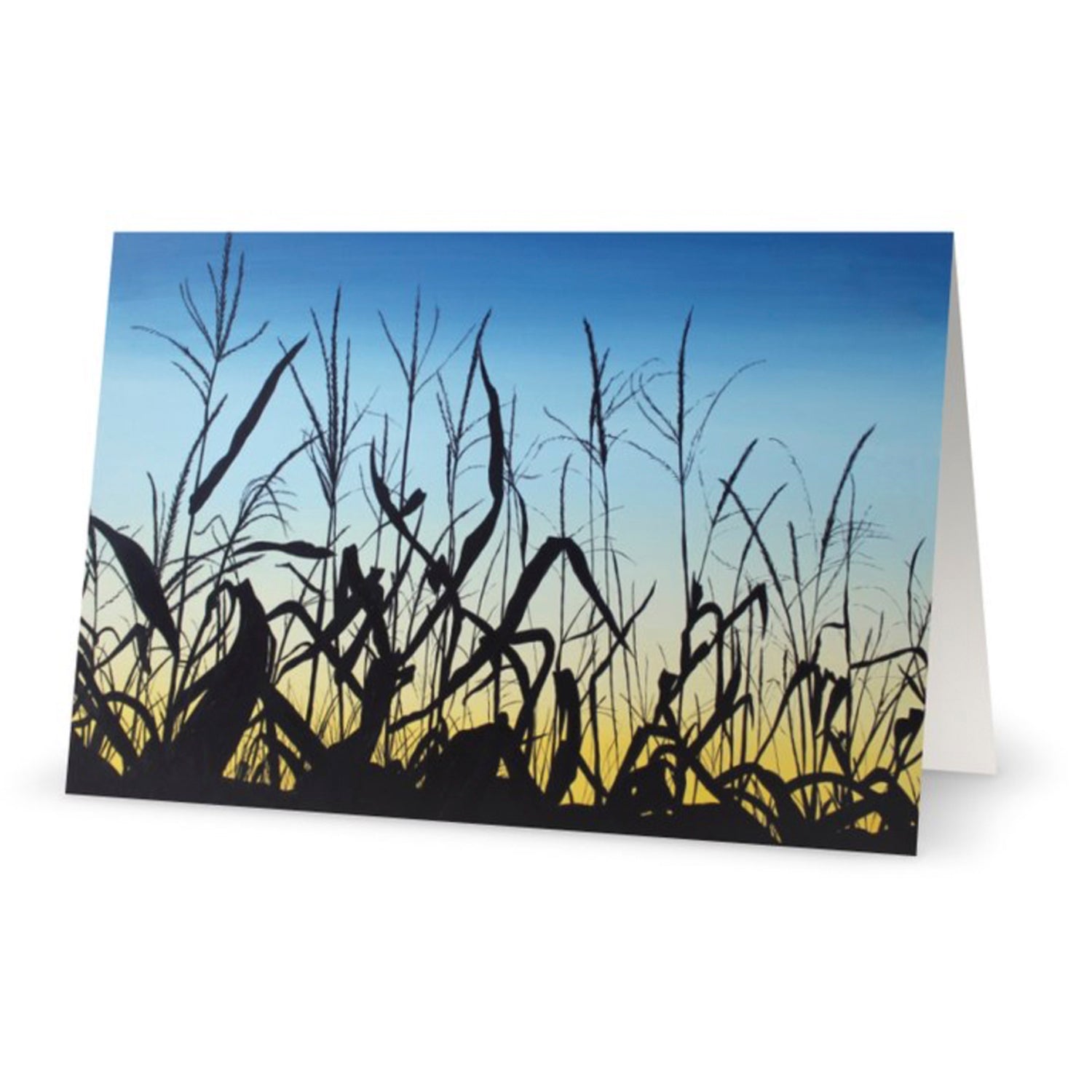 Sunset Corn Greeting Card – Copper Knoll Farms